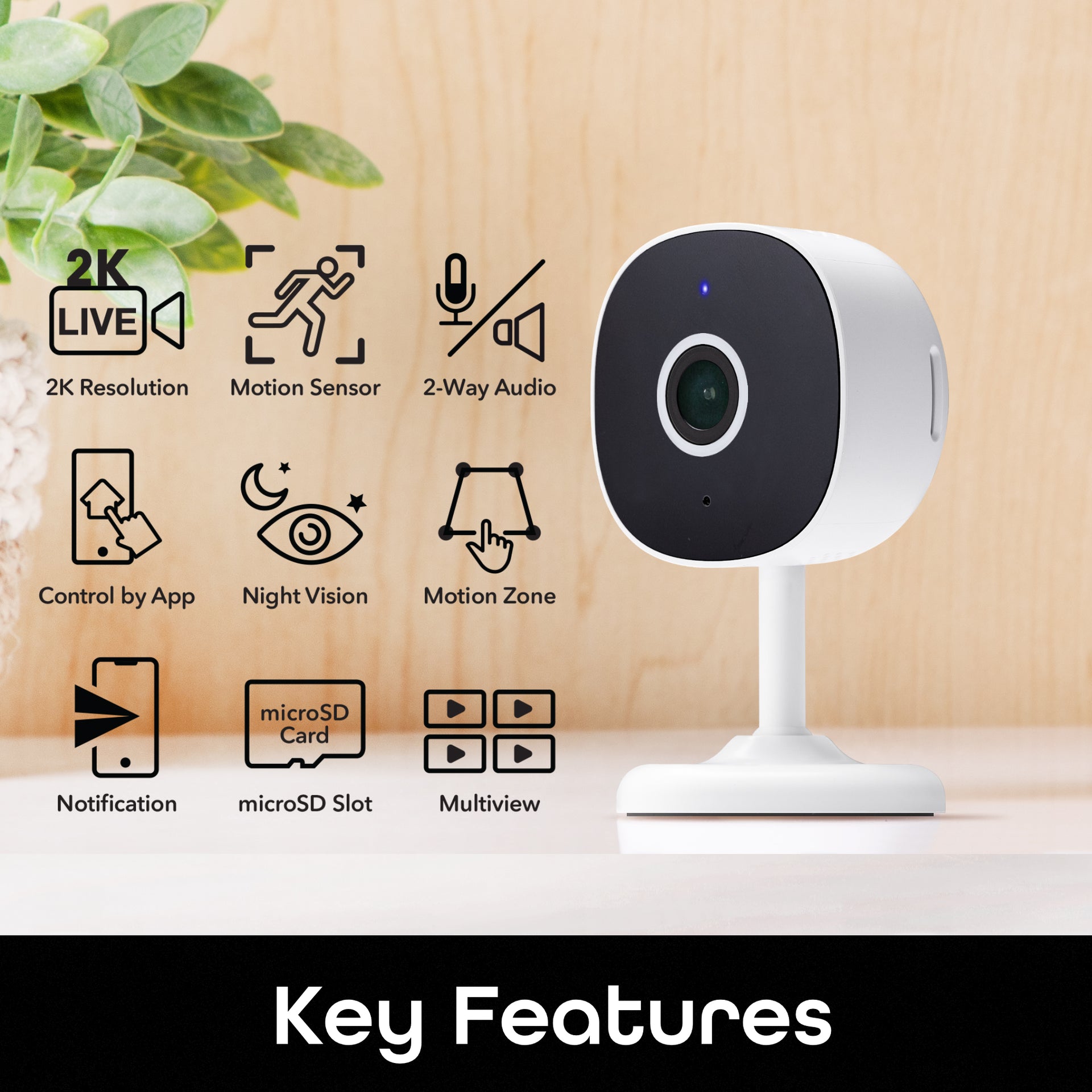 Explore Smart Cameras for Home Surveillance | Geeni Smart Home – Geeni ...